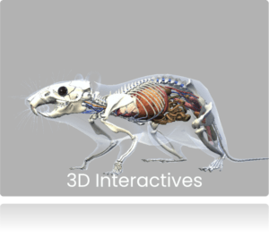 Immersive Learning Technologies: Transforming Education | Umety